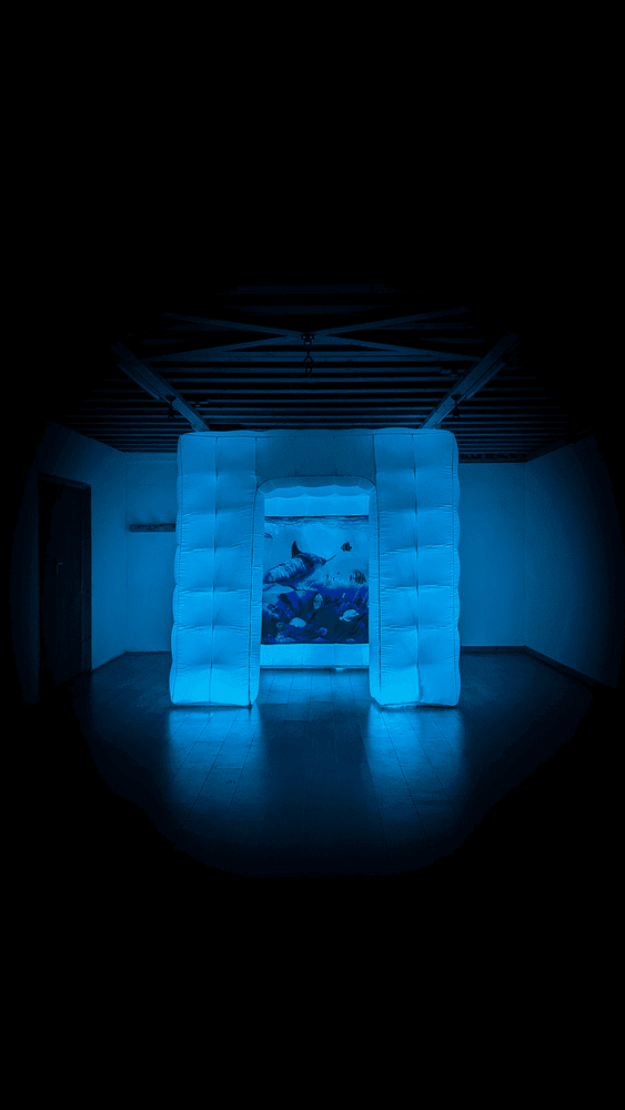 Therapy PODS- Removable Themes – PODS Play