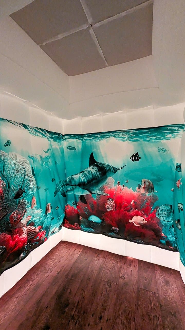Therapy PODS- Removable Themes – PODS Play