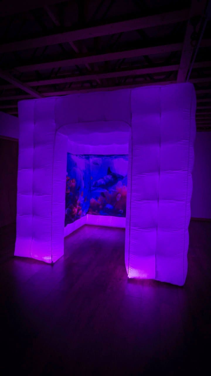 Shop Therapy PODS - PODS Play